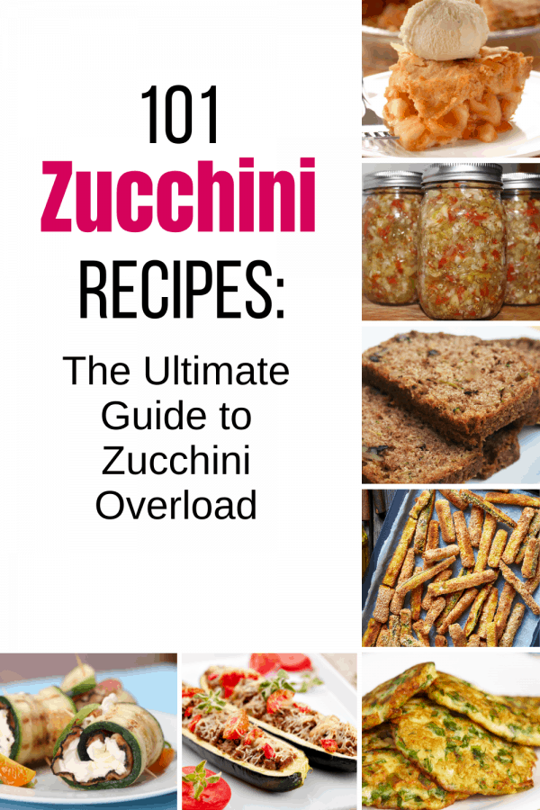 101 Zucchini Recipes: The Ultimate Guide to Zucchini Overload | Orison ...
